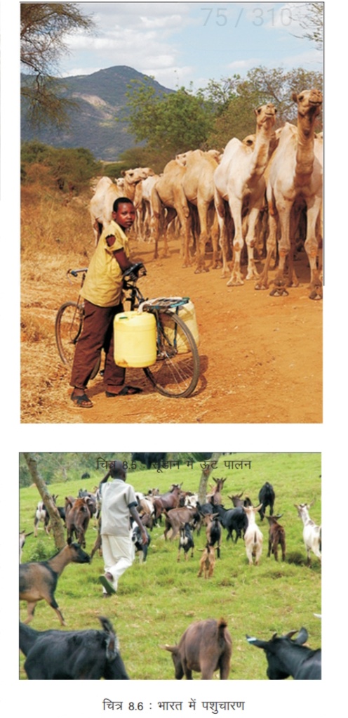 GEOGRAPHY: प्राथमिक व्यवसाय Primary Occupation