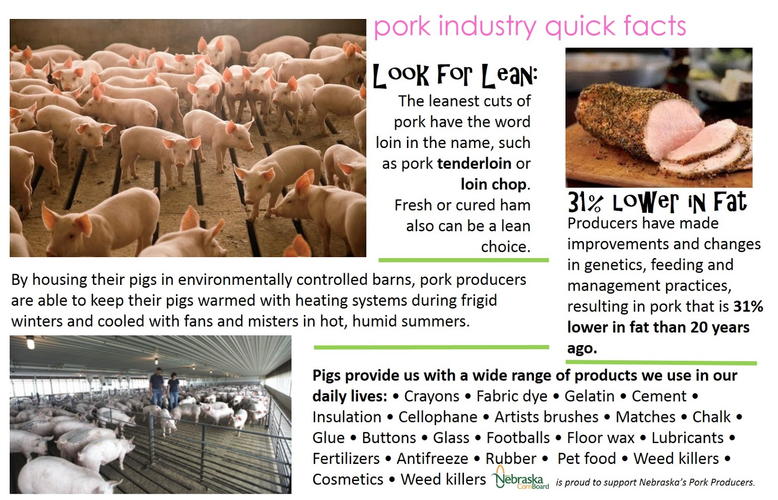 Nebraska Corn Kernels: Let's Celebrate October is Pork Month!