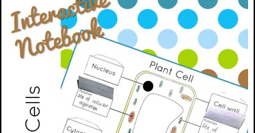 The Best of Teacher Entrepreneurs: FREE SCIENCE LESSON - “FREEBIE ...