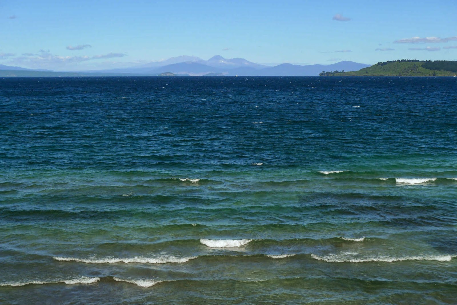 Roger's Solo Trip to New Zealand