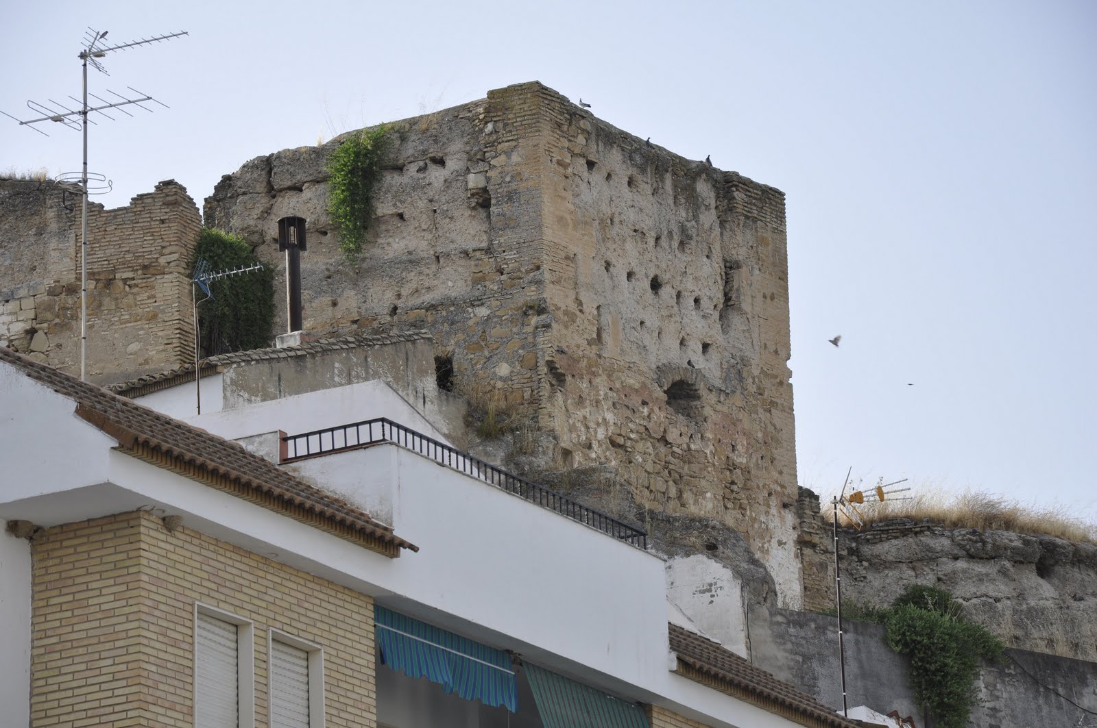 Fotografías de Castro del Río: Castillo y Murallas de Castro del Río ...