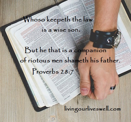 Living Our Lives Well: Proverbs 28 Scripture Pictures