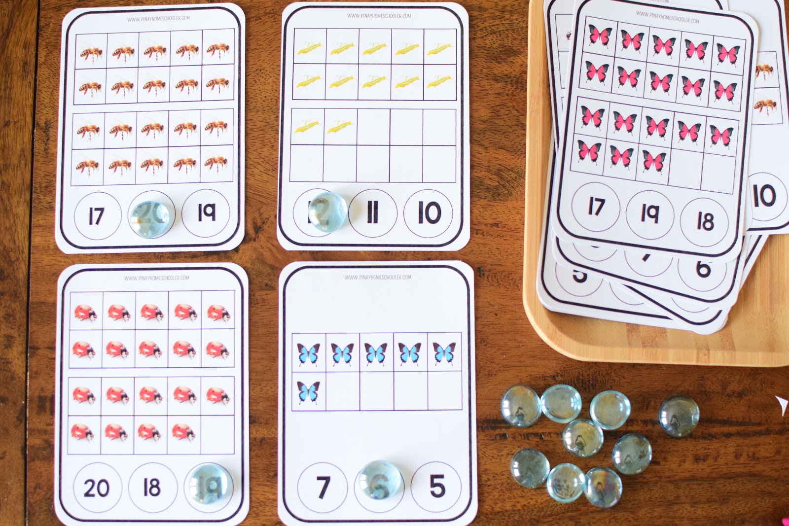 Insect Themed Lesson Plans for Kindergarten to First Grade | The Pinay ...