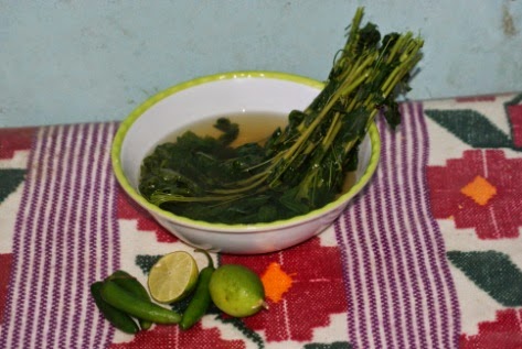 RECETARIO: CALDO DE CHIPIL