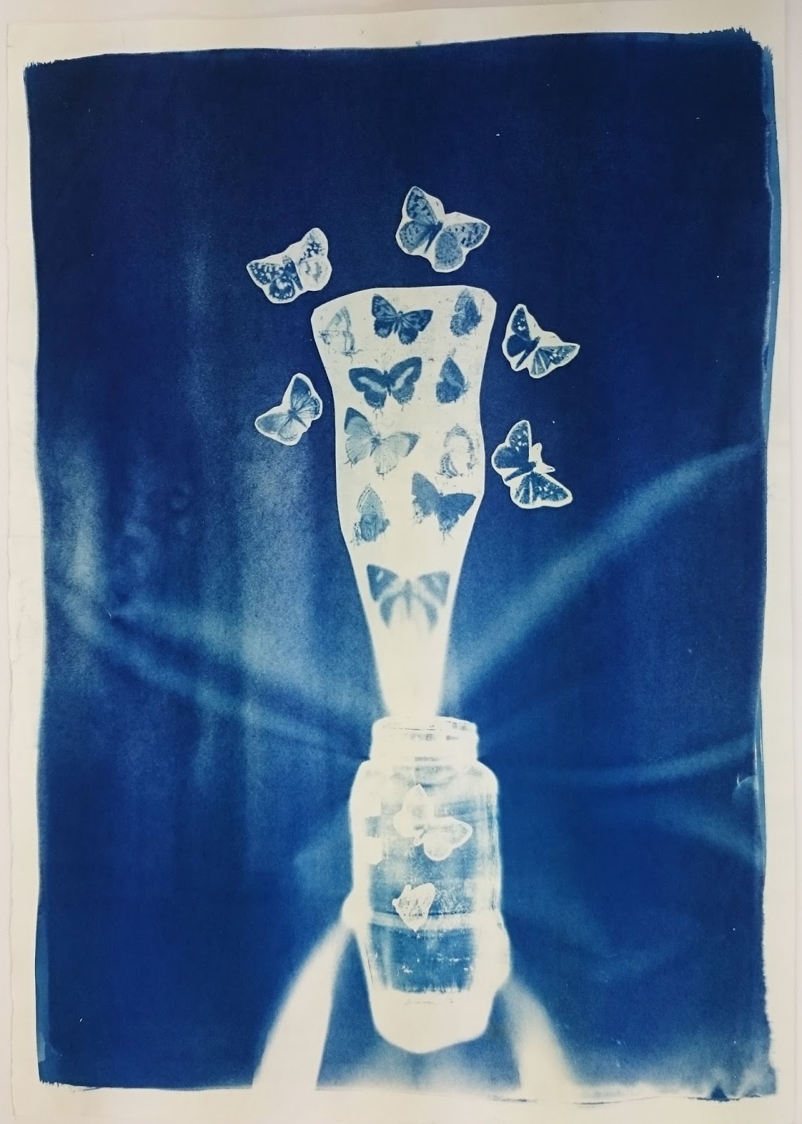 Hannah Knowles - Illustration: Cyanotypes