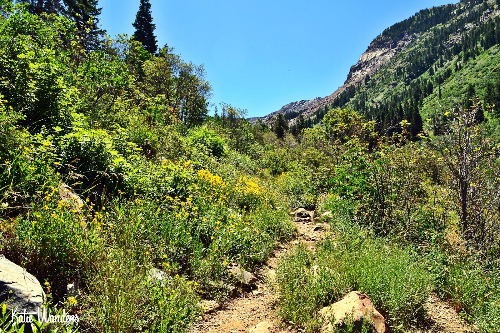 Katie Wanders : Lake Blanche Hike - Big Cottonwood Canyon, Utah