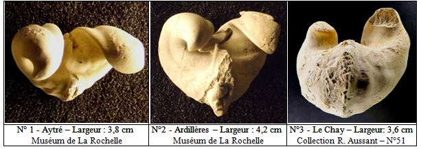 FOSSILES DE CHARENTE-MARITIME ET AUTRES ORIGINES