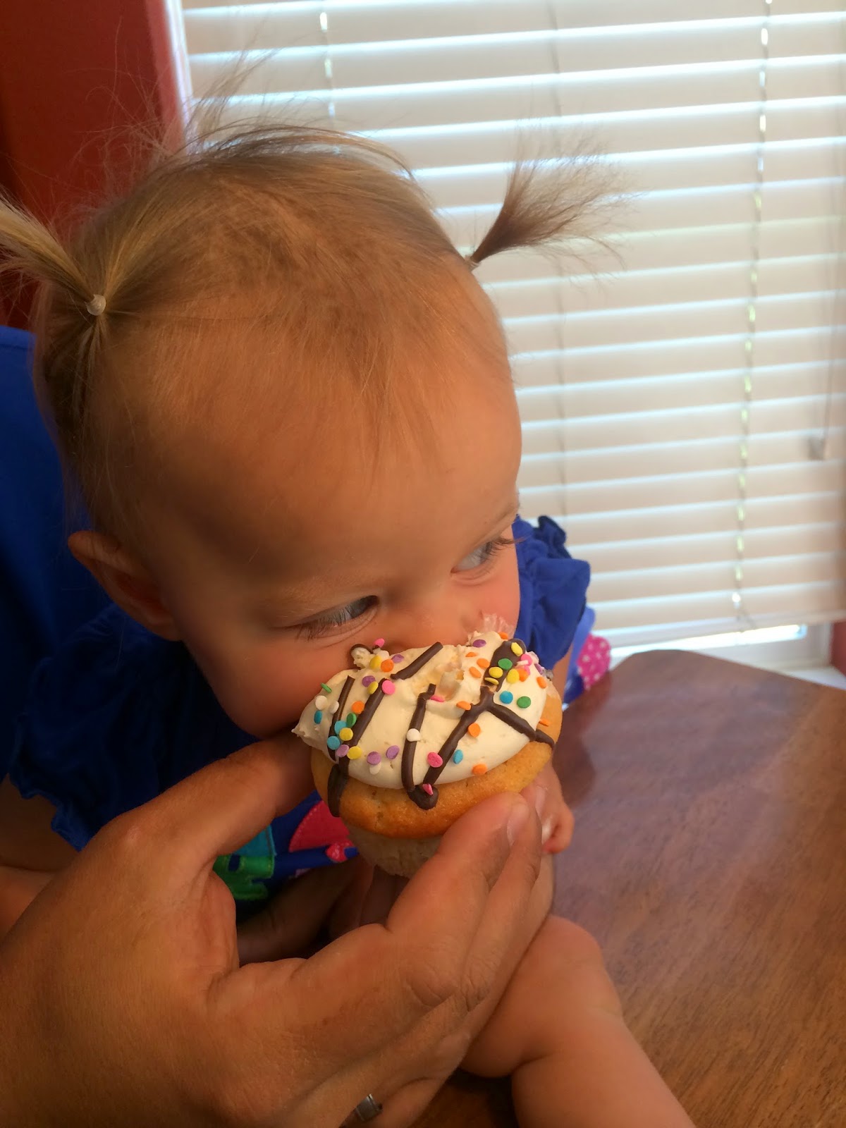 The Pemberton's: Colbi Lyn turns 1!!
