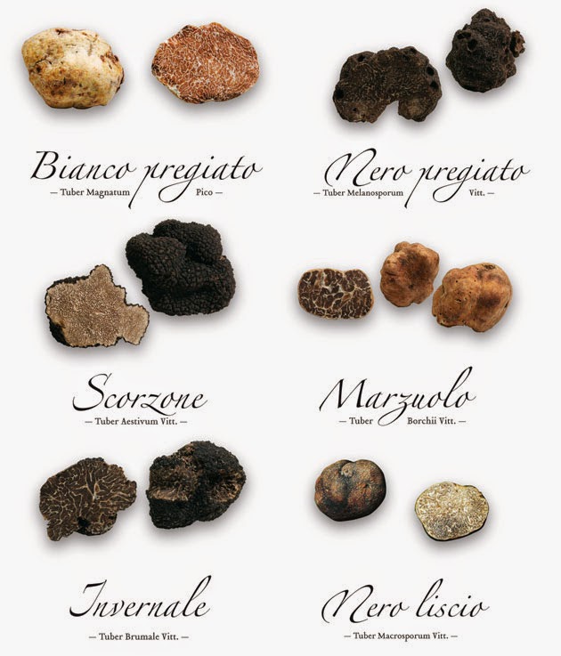 ItalianDesign: The different truffle