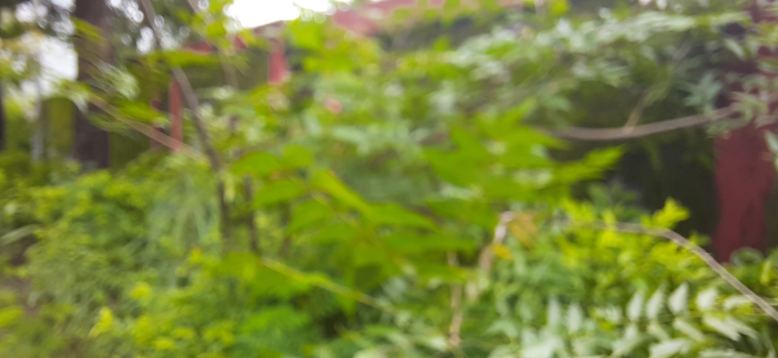 Sharad Pandhare's Educational Blog: Incredible Nature