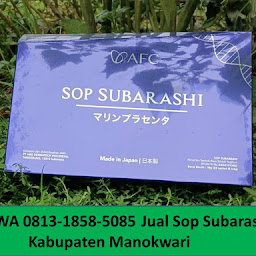 jualsopsubarashisorong
