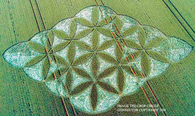 Augureye Express: 2016 Crop Circle Gallery