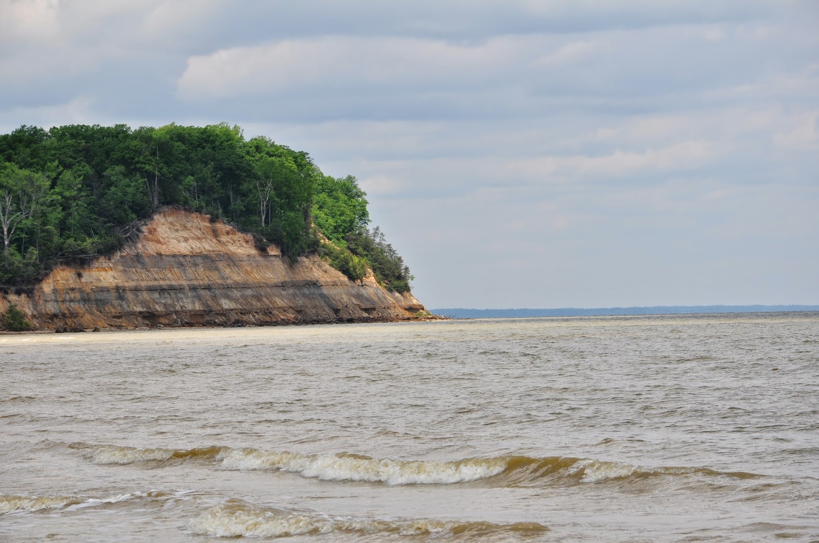 Beach Combing at Calvert Cliffs State Park - MidAtlantic Daytrips