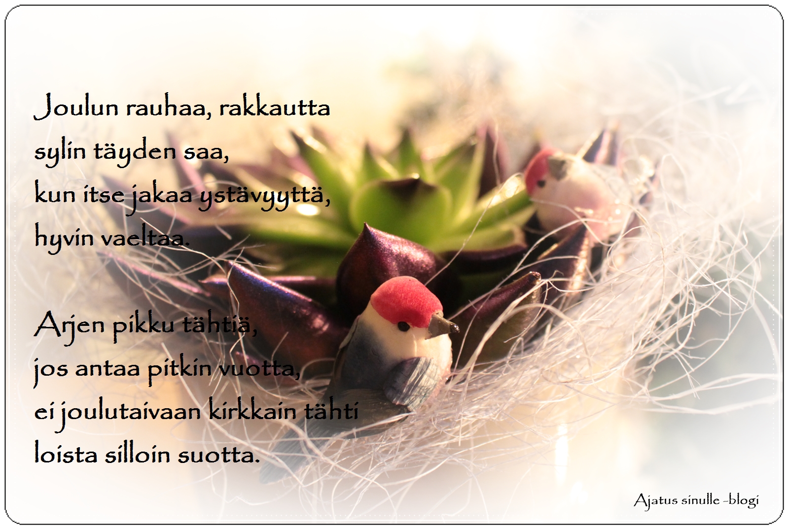 Joulun rauhaa, rakkautta, Sinulle blogini seuraaja