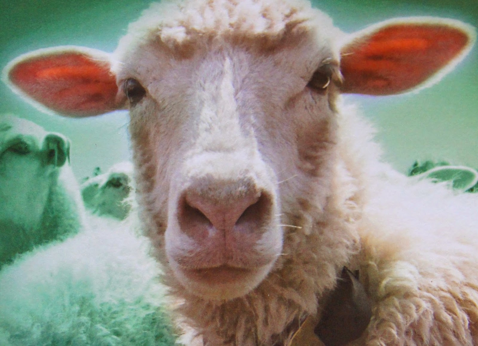 "Just Thinking" by Robert J. Tamasy: He Knows Your Name