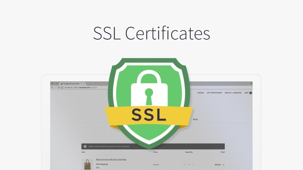 Get SSL Certificate For A Website