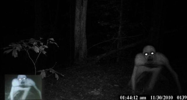 Alien creature caught on photo at the Arctic Circle proves again we are ...