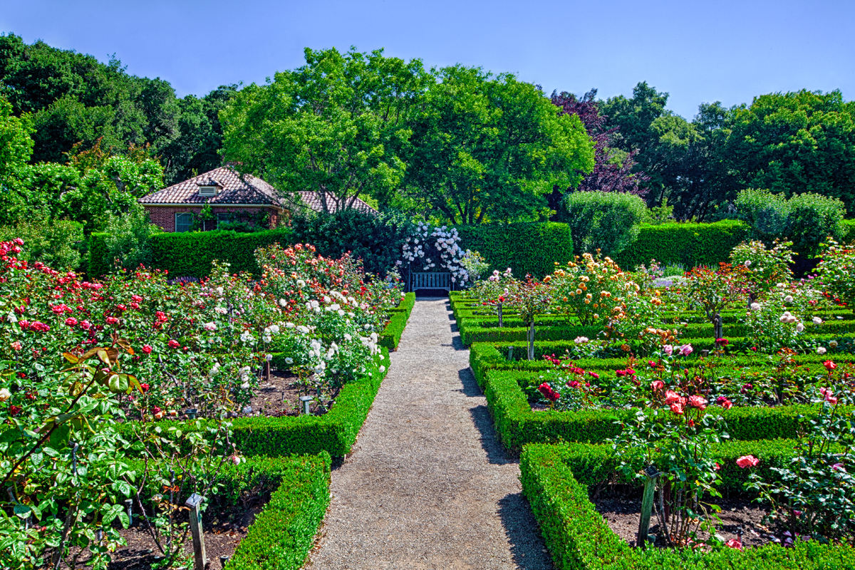 Rick Williams Photography: Filoli Gardens