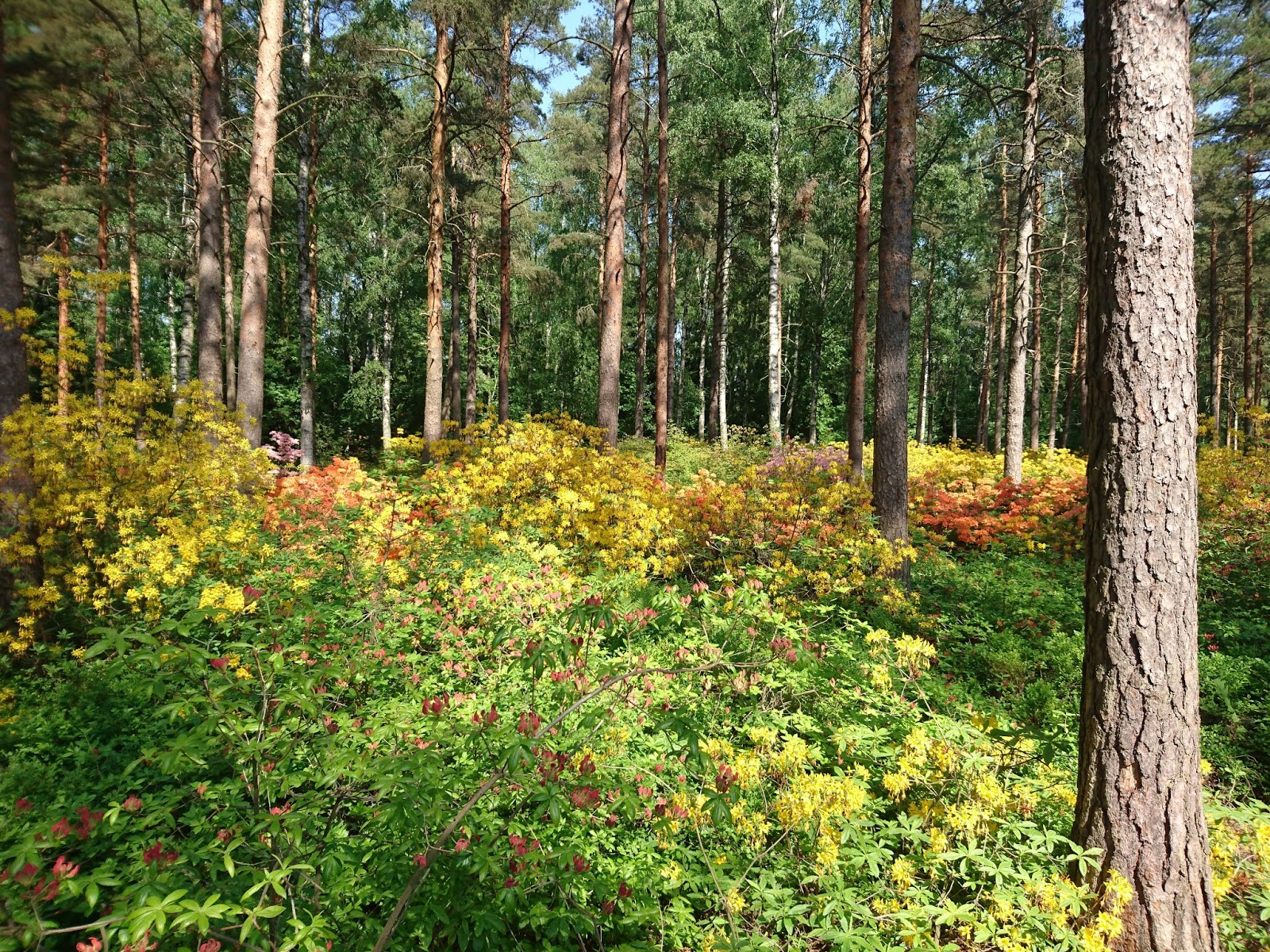 Paper pen and inkwell