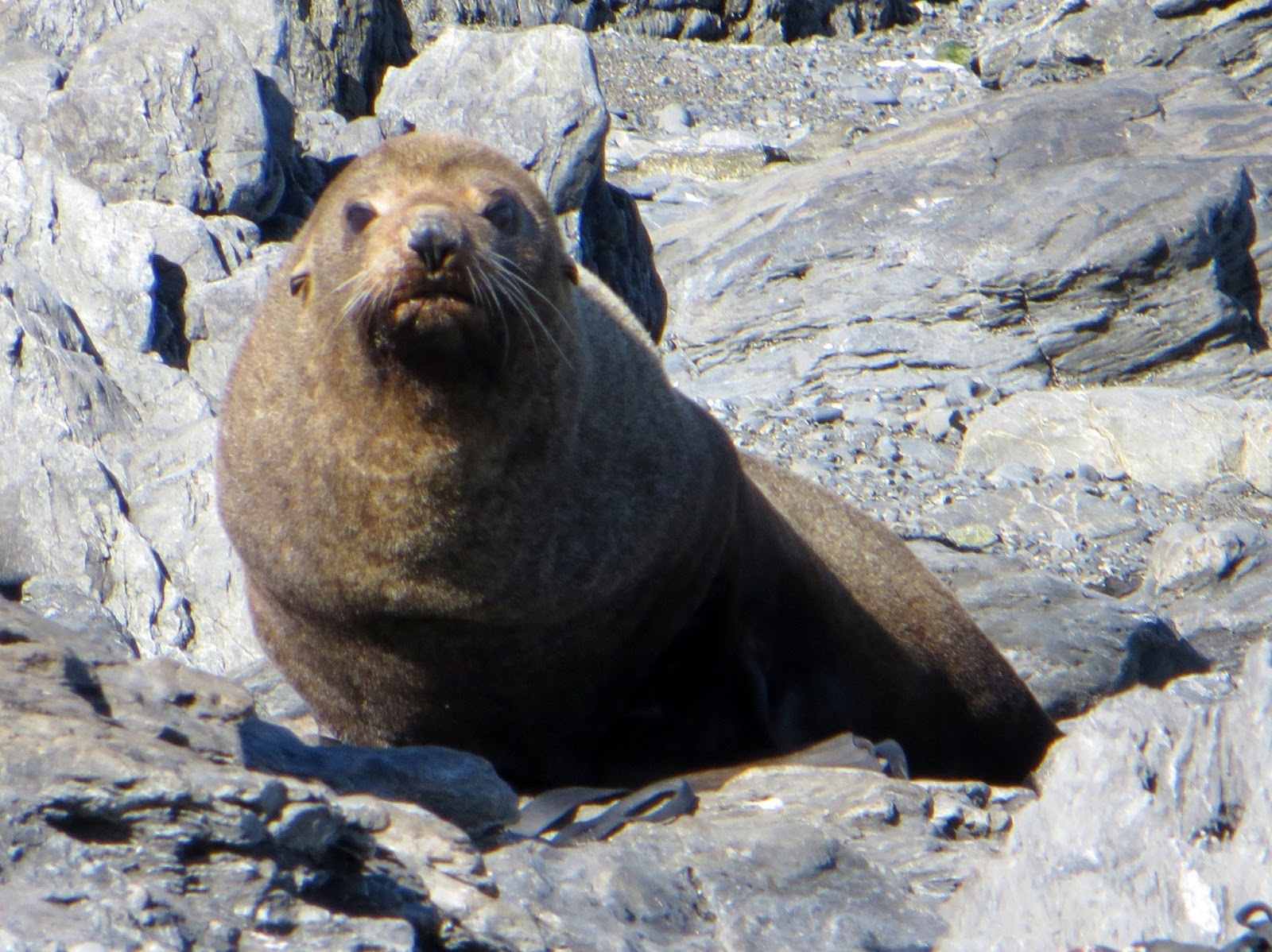 More Snapshots from Around the World: Wellington, New Zealand - The ...