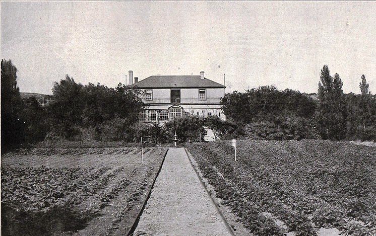 HISTORIAS ZOOLOGICAS: JOHN BELL HATCHER: UN CAZADOR DE FOSILES EN LA ...