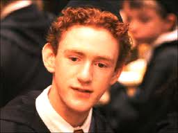 Harry Potter - O Guia: Os Weasleys