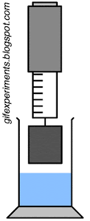 GIF Experiments (GIXP)