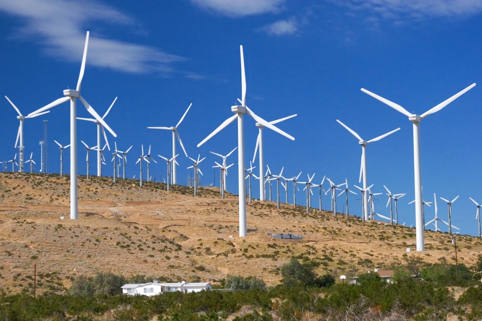 GREEN WORKS Type Of Renewable Energy Resources green-works-type-of-renewable-energy-resources