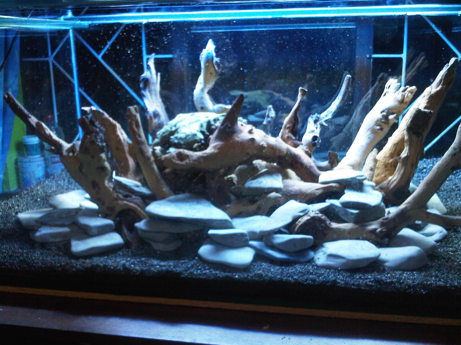 Grimsqueaker's Planted Aquarium: Hardscape