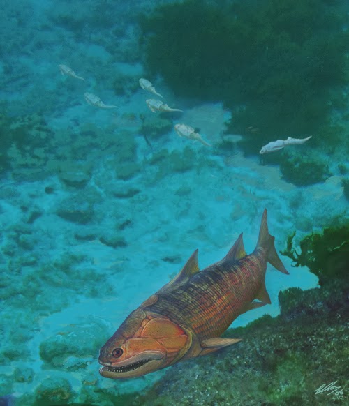 Sarcopterygii – Variety of Life