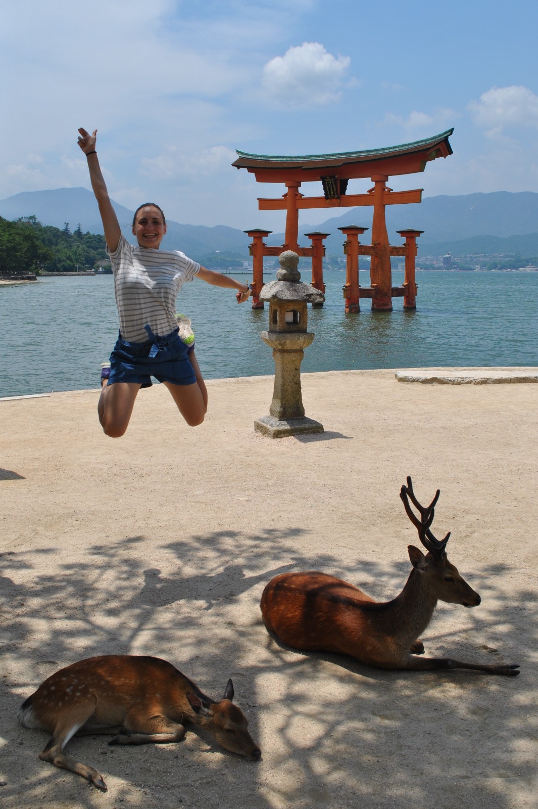 JUMPING PICTURES: Japan jumping - Domo arigato Bego