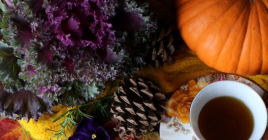 The Charm of Home: November Tea/Garden Journal