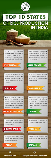 Organic Basmati Rice and Its Types: Top 10 Largest Rice Producing ...