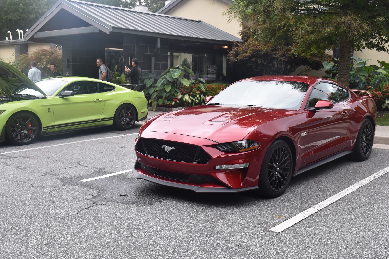 See How I Celebrated Ford Mustang's 55th Anniversary