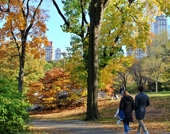 What New York City Trees Are Wearing This Autumn [ Being Ron ]