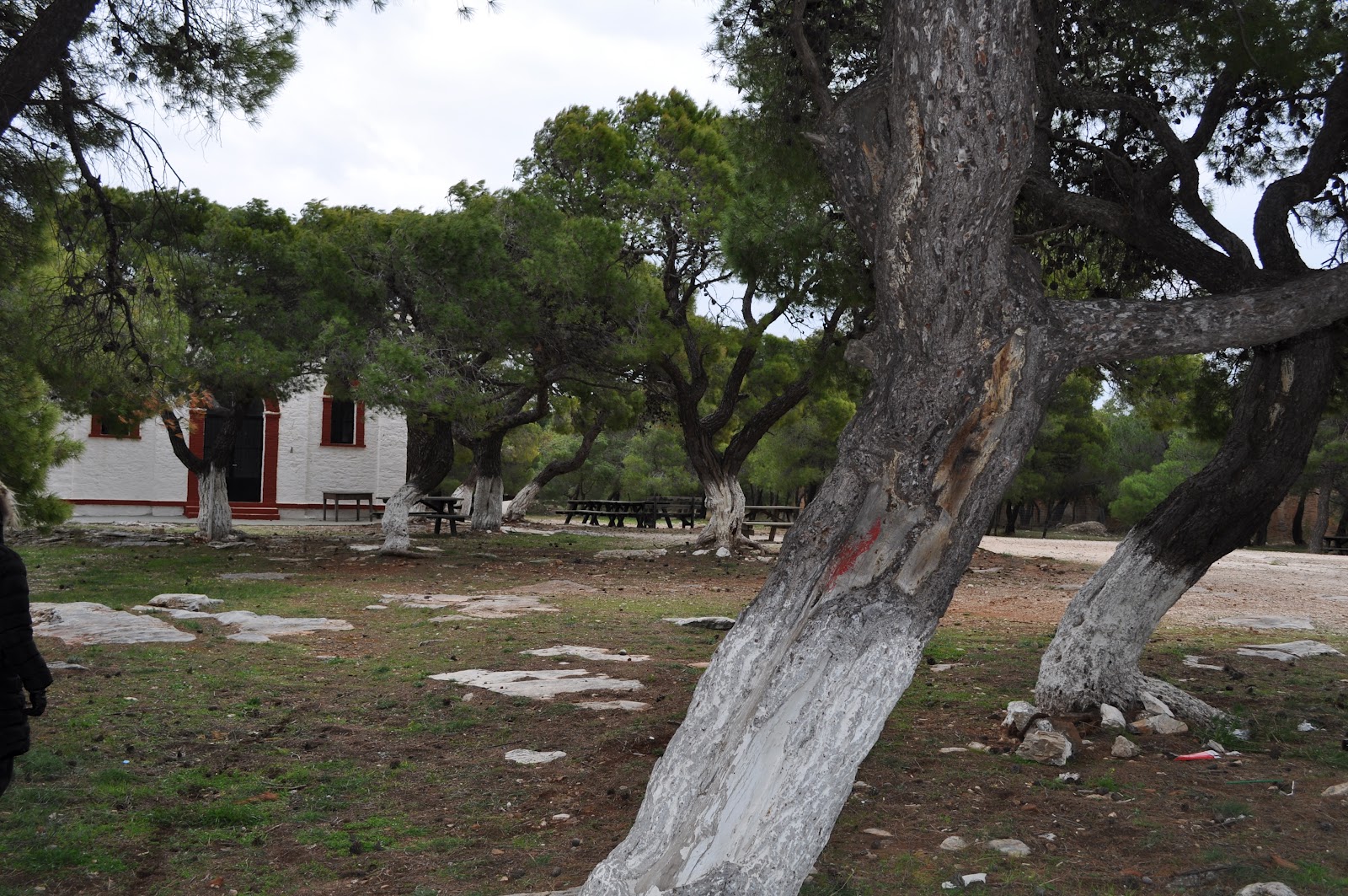 EPIGHS: ΕΘΝΙΚΟΣ ΔΡΥΜΟΣ ΣΟΥΝΙΟΥ
