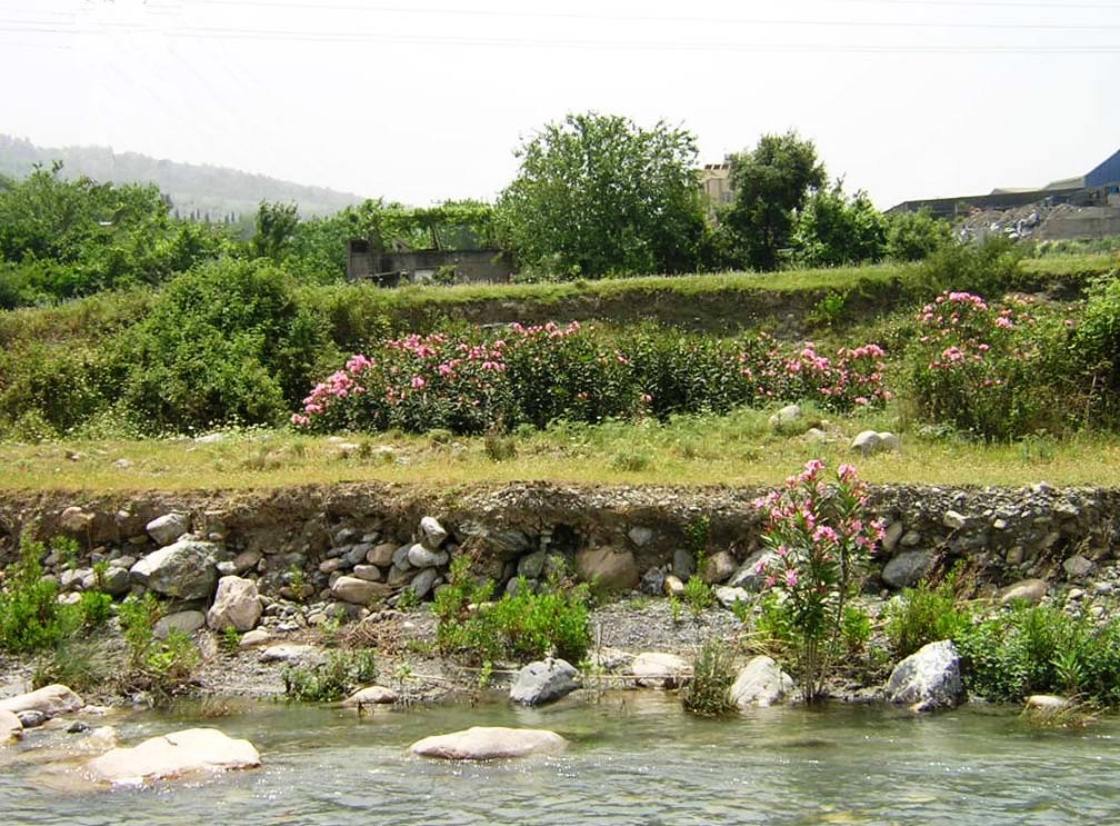 Megas Alexandros: The Battle of Issus, where Alexander and Darius faced ...