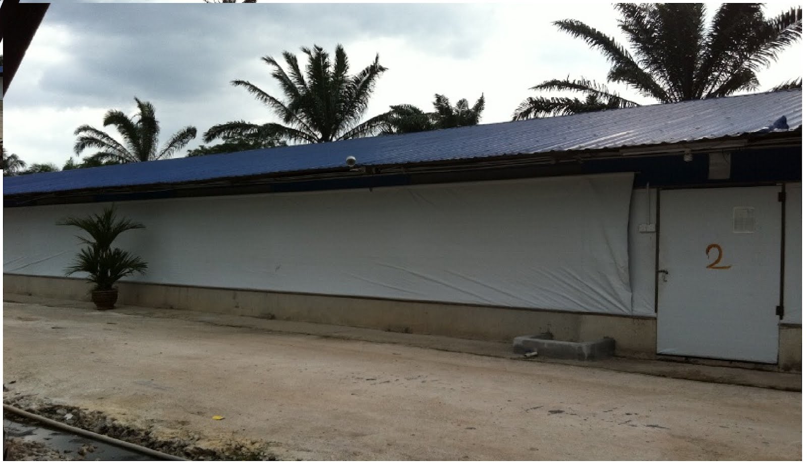 Pembinaan Reban Ayam | Maria Firdaus