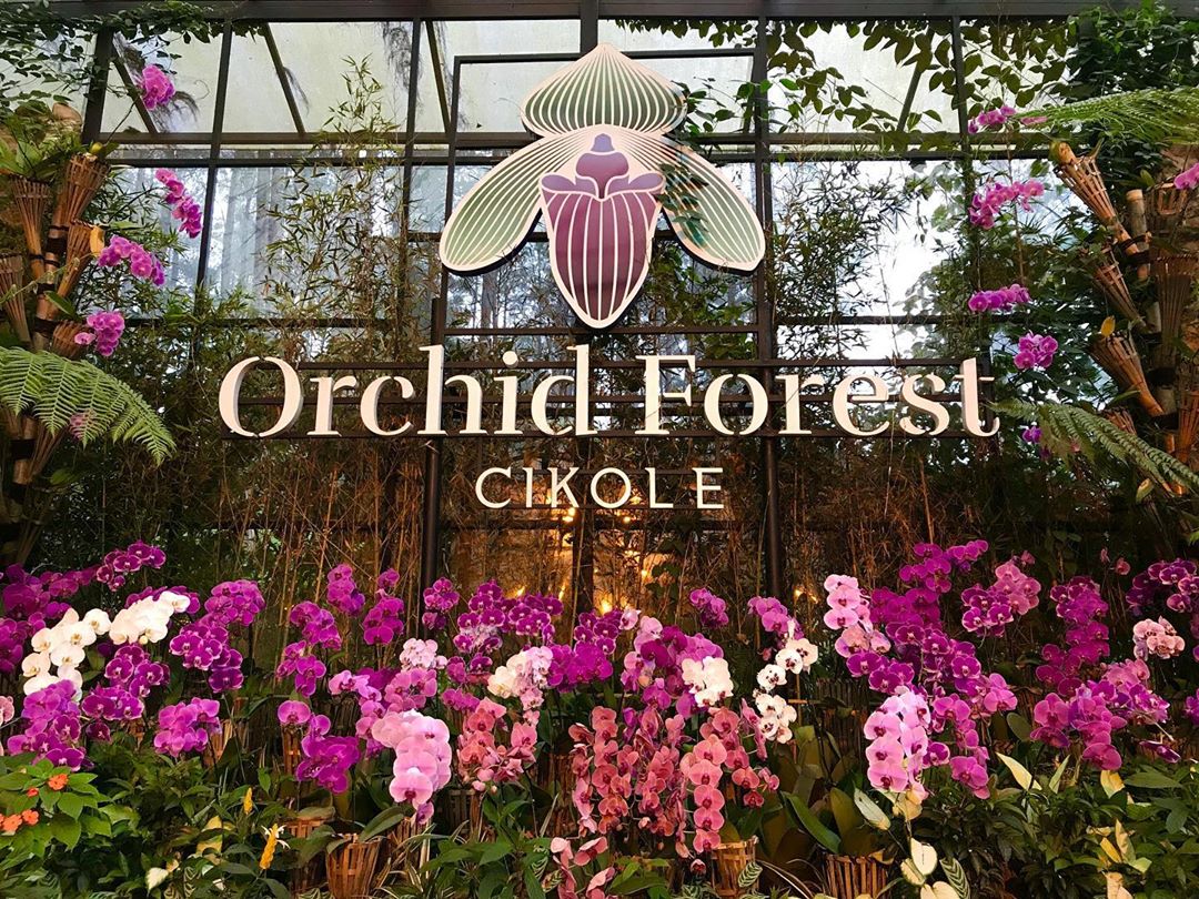 Wahana dan Harga Tiket Masuk Orchid Forest Cikole 2021 Wahana dan Harga Tiket Masuk Orchid Forest Cikole 2021