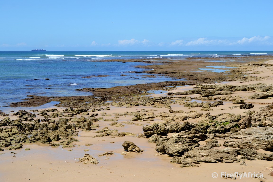 Port Elizabeth Daily Photo: Flat rocks at Flat Rocks