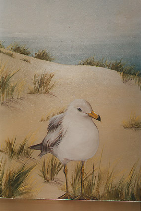 Cathy Toby: Trompe l'oeil