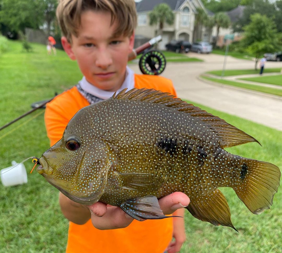 Year of the Rio Photo Contest Update