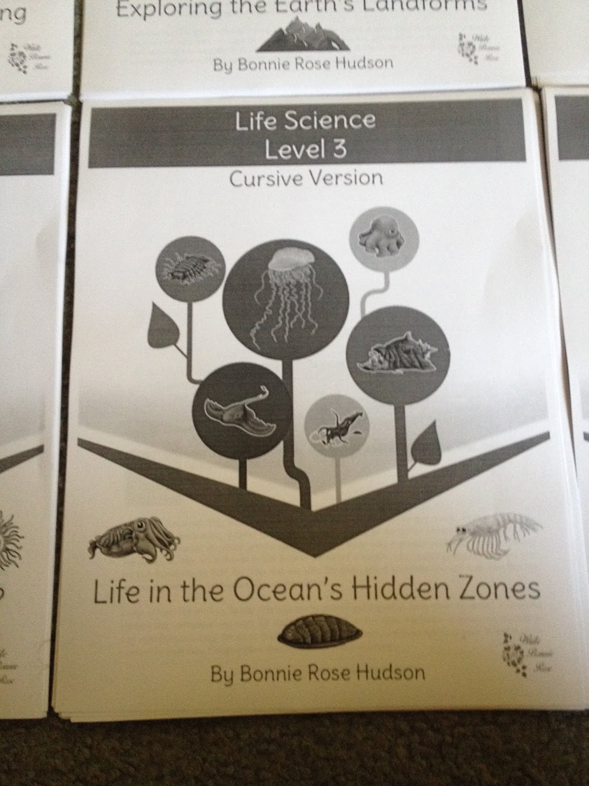 Puddle Jumping: Homeschool Review Crew - Learning About Science from ...