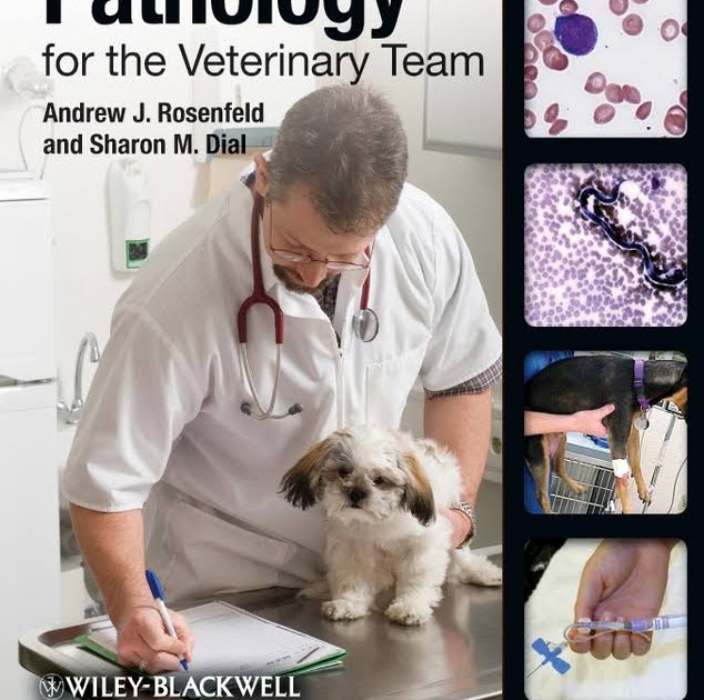 Clinical Pathology for the Veterinary Team