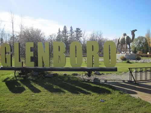 Life Is Better On Vacation: Sara The Camel