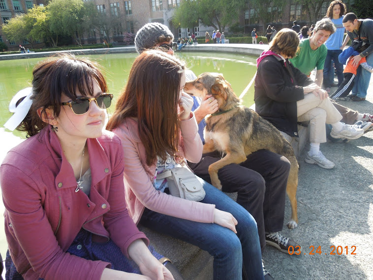 One Classy Meerkat: Makeup Tutorial