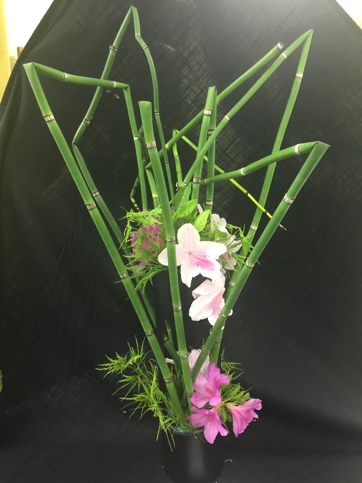 New Garden Club Journal: Floral Designs from the Garden Club - Garden Tour