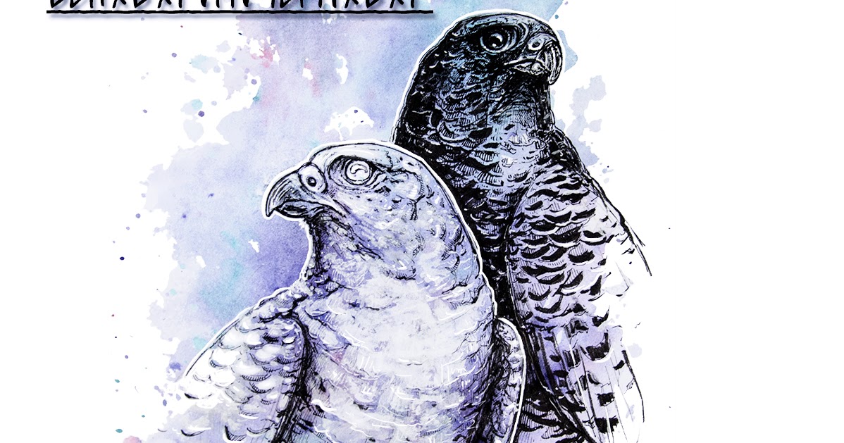 Black Ink Howl: Born From Feathers