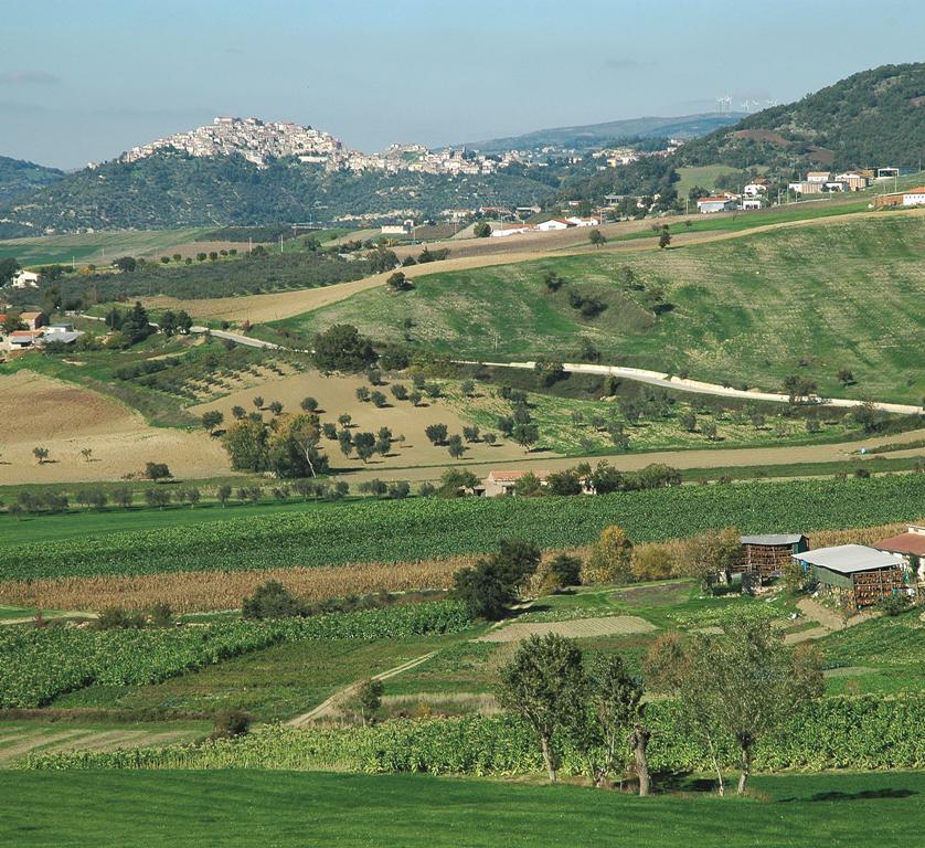 LA RANA E IL TOPINO: PAESAGGI: MONTAGNA, COLLINA, PIANURA