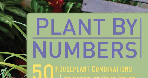 The Rainforest Garden: Plant by Numbers